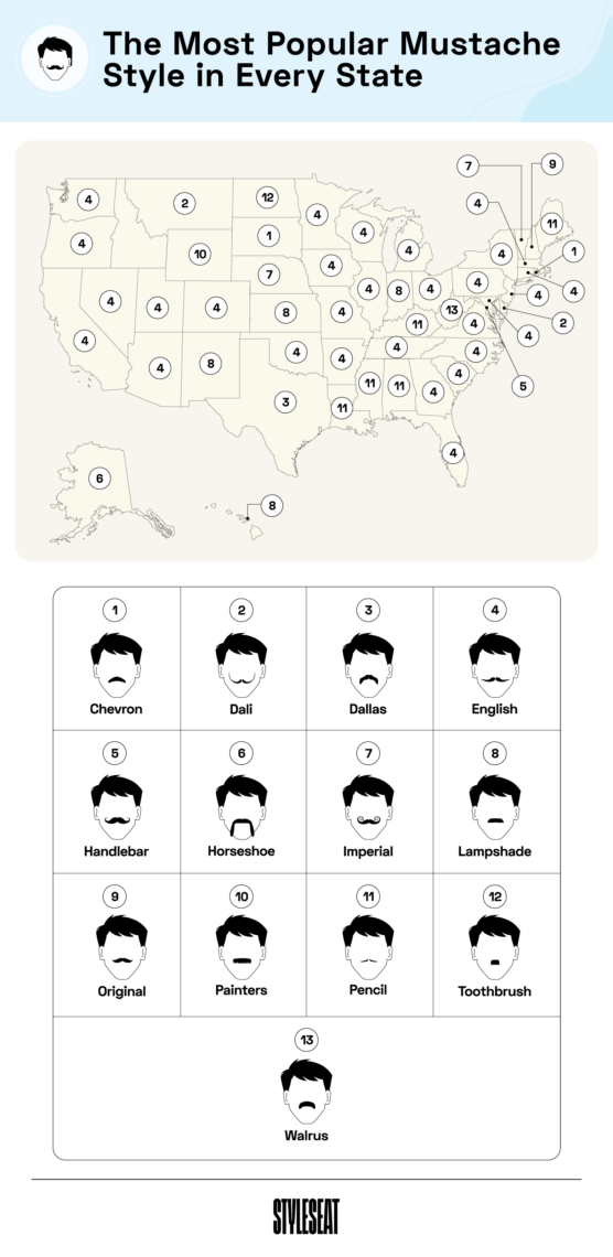 The Most Popular Beard Styles in Every State - StyleSeat Pro Beauty Blog